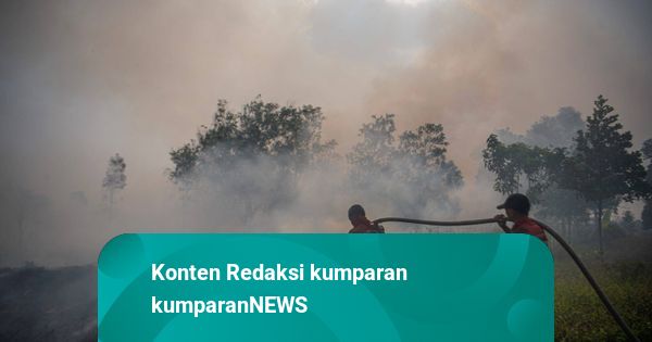 Foto: Upaya Pemadaman Kebakaran Lahan di Ogan Ilir Masih Berlanjut | kumparan.com